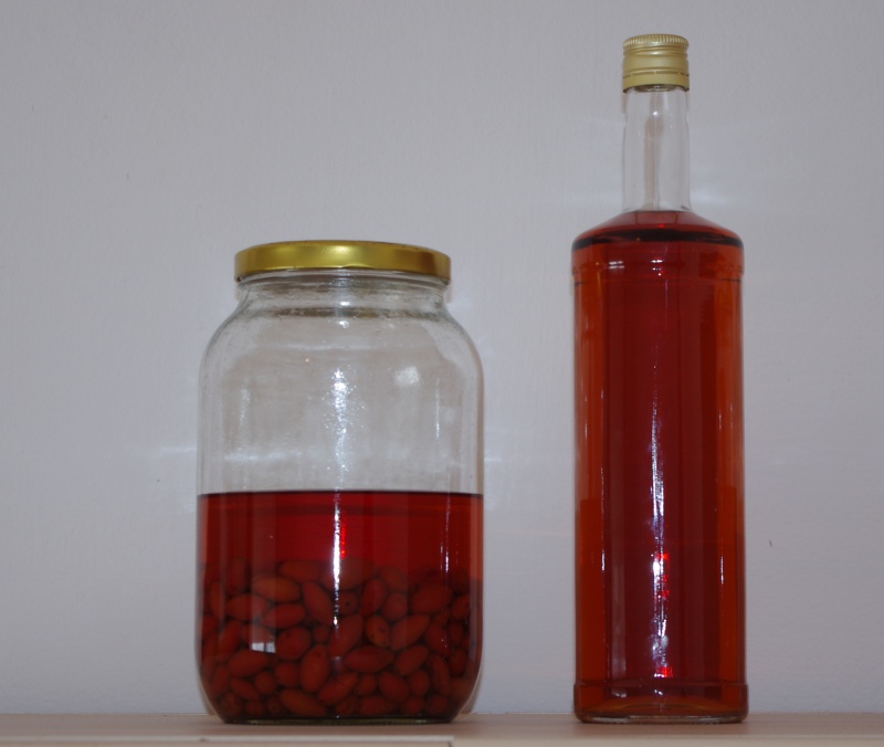 Liker od šipka recept - zdravo i ukusno - Portal posvećen rakiji